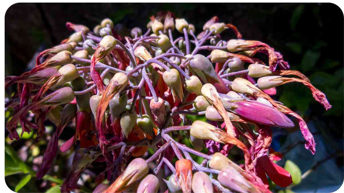 The Impact of Dead Flowers on Health and Home Harmony | Unified Yard