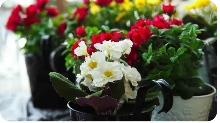 Homemade Flower Preservative: Extending Cut Flowers' Vibrant Life ...